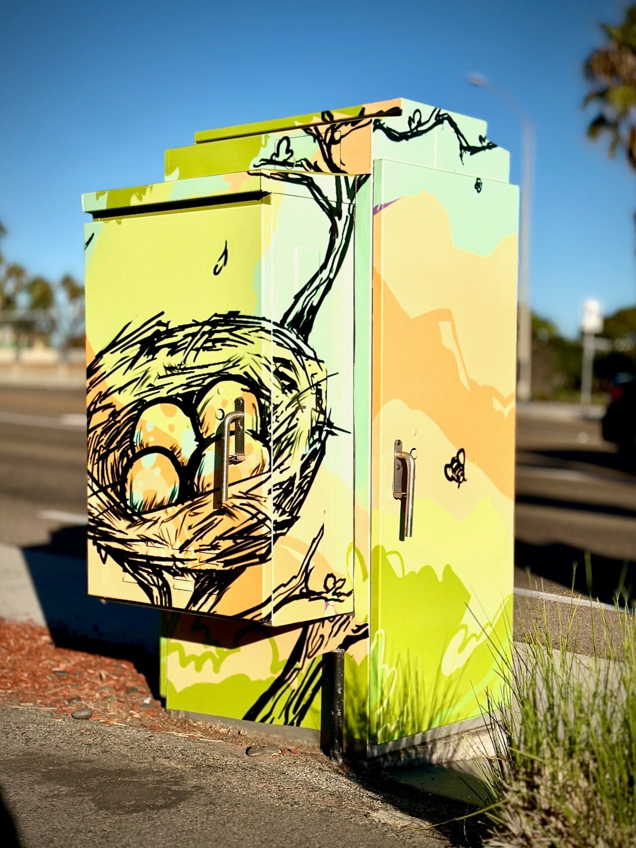 Utility Box Wrap Program | Solana Beach